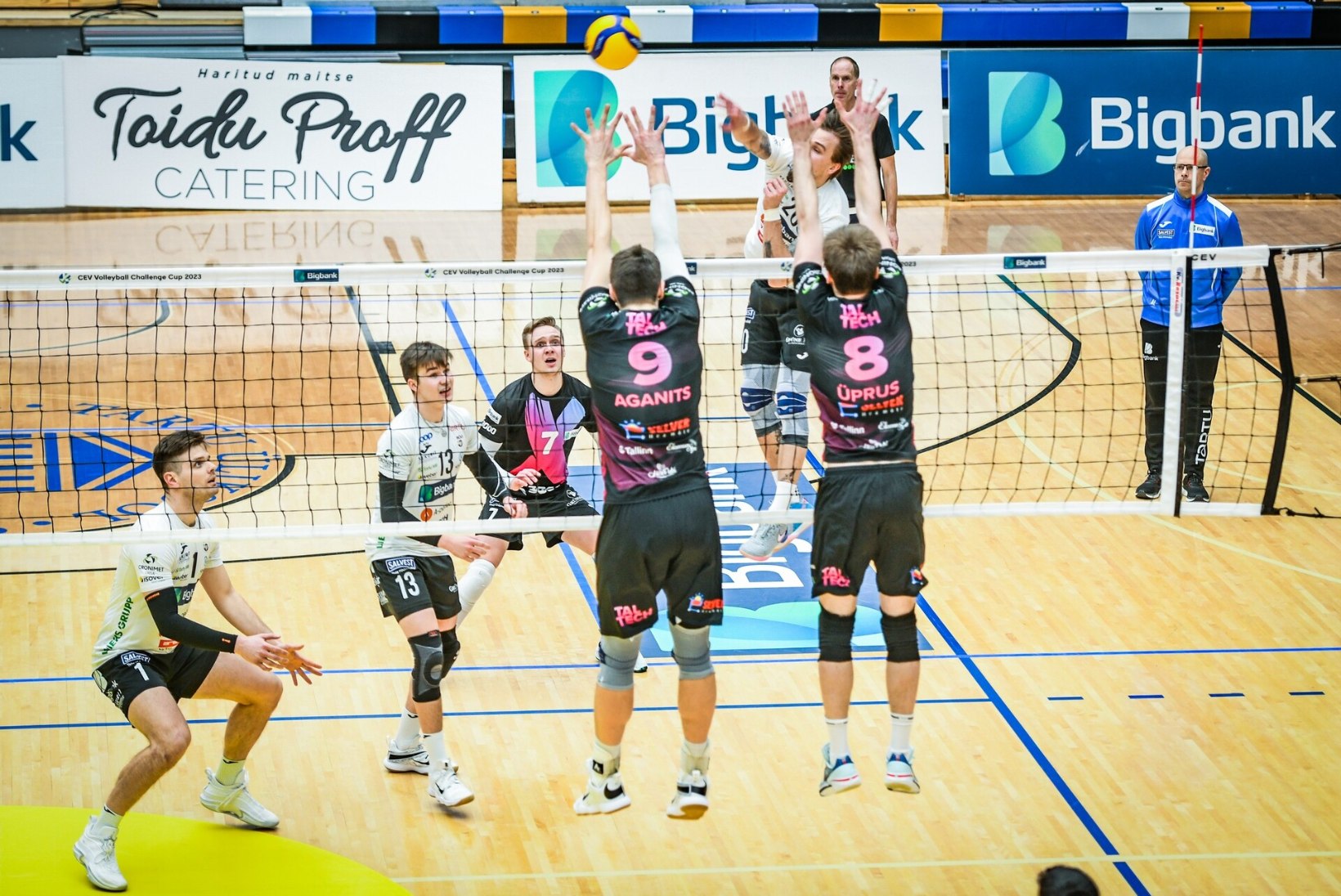 GALERII | Kus on, sinna tuleb ikka juurde: Tartu Bigbank kaotas Martti ... GALERII | Kus on, sinna tuleb ikka juurde: Tartu Bigbank kaotas Martti ...